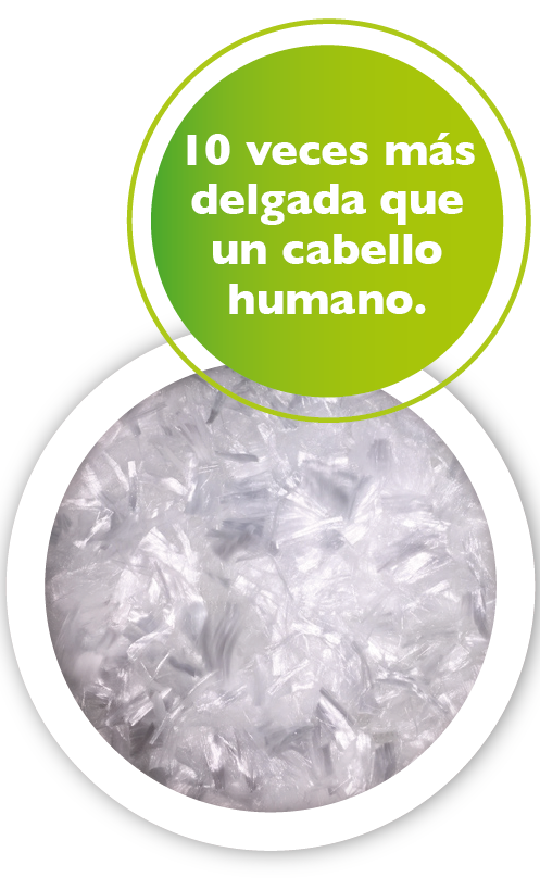 Catálogo – Morphoplast